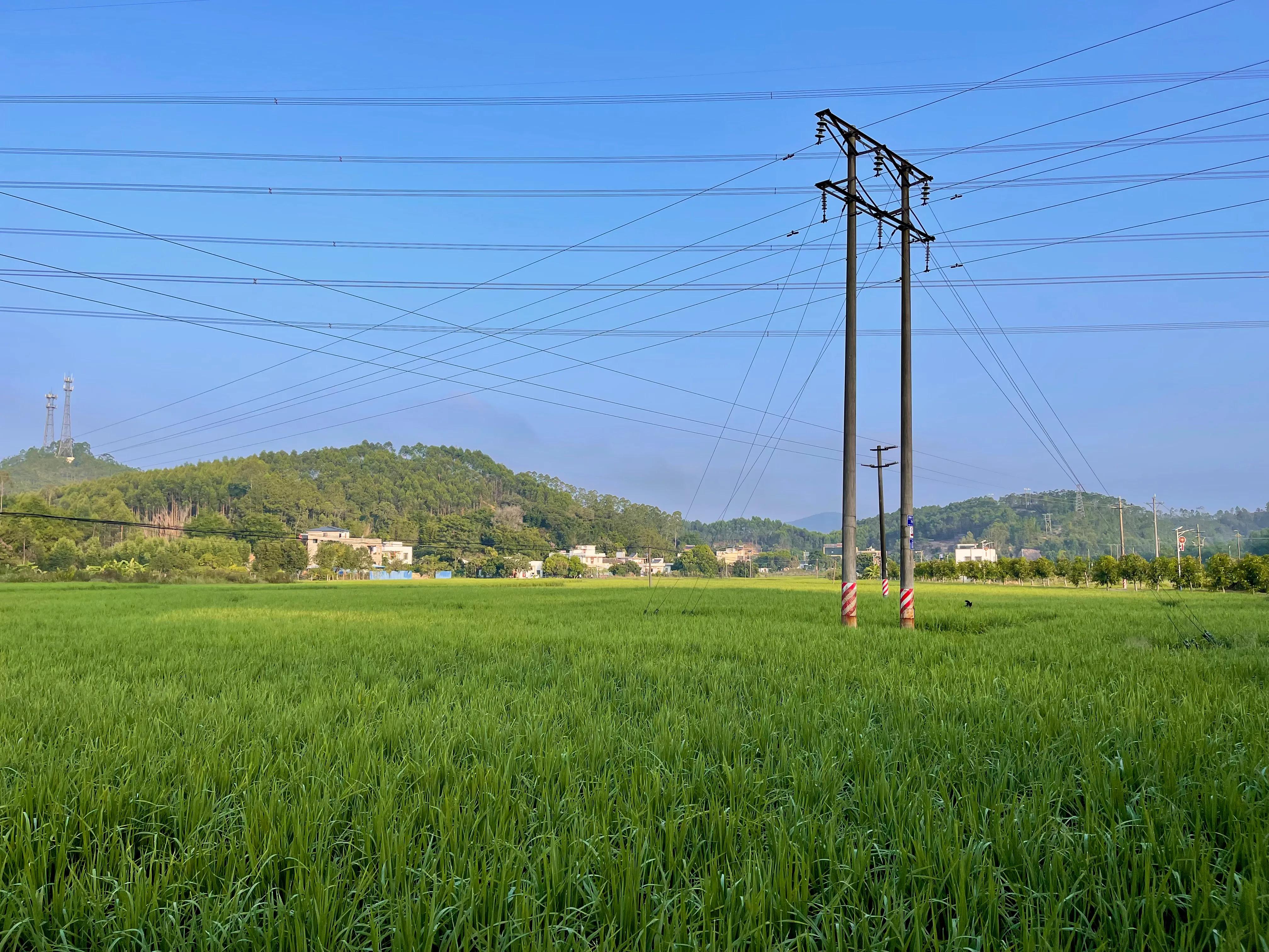 Thoughts on National Day Tour in Baima Village - iNEWS