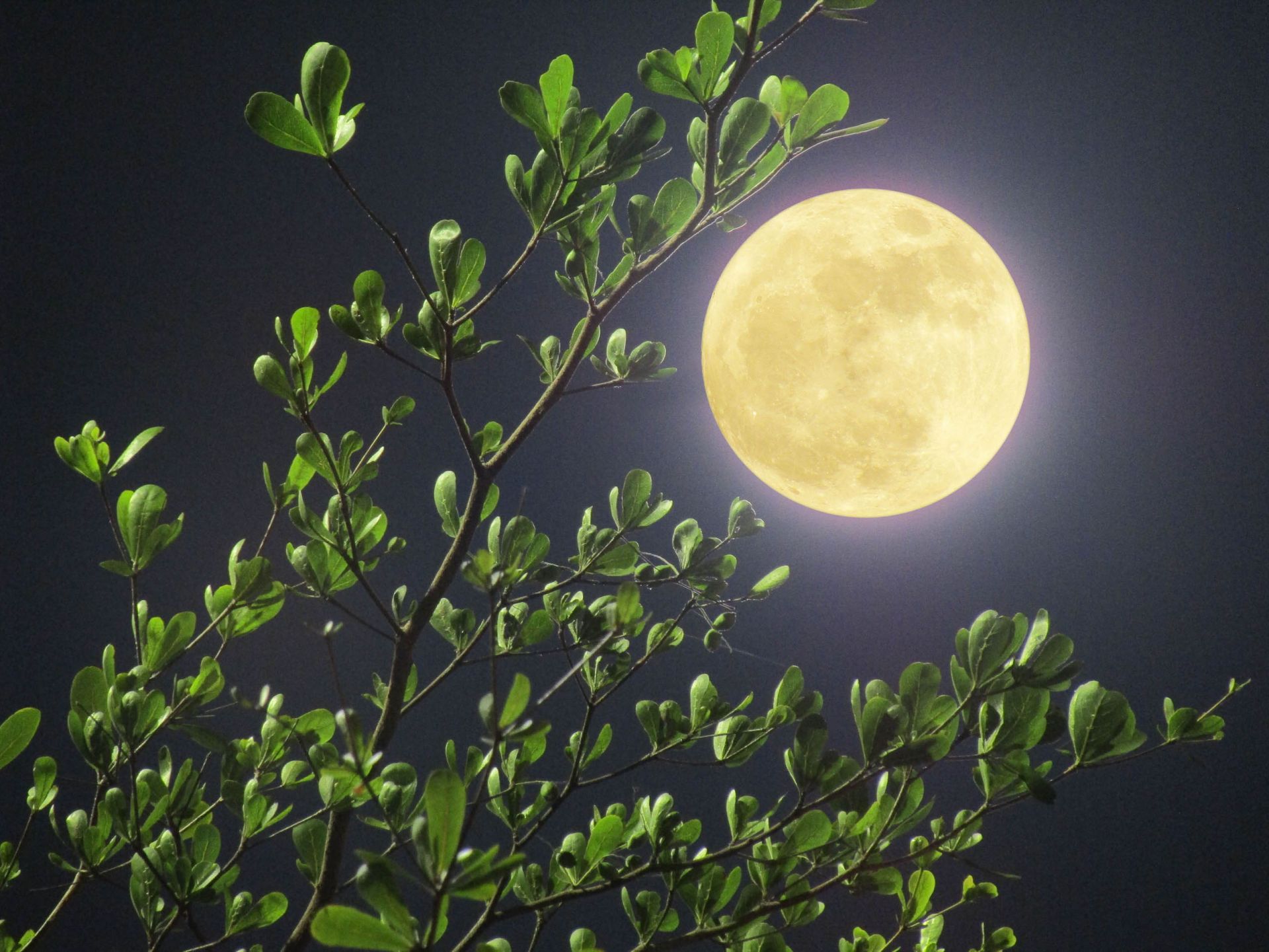 When Li Bai left his hometown, the bright moon accompanied him, so Li ...