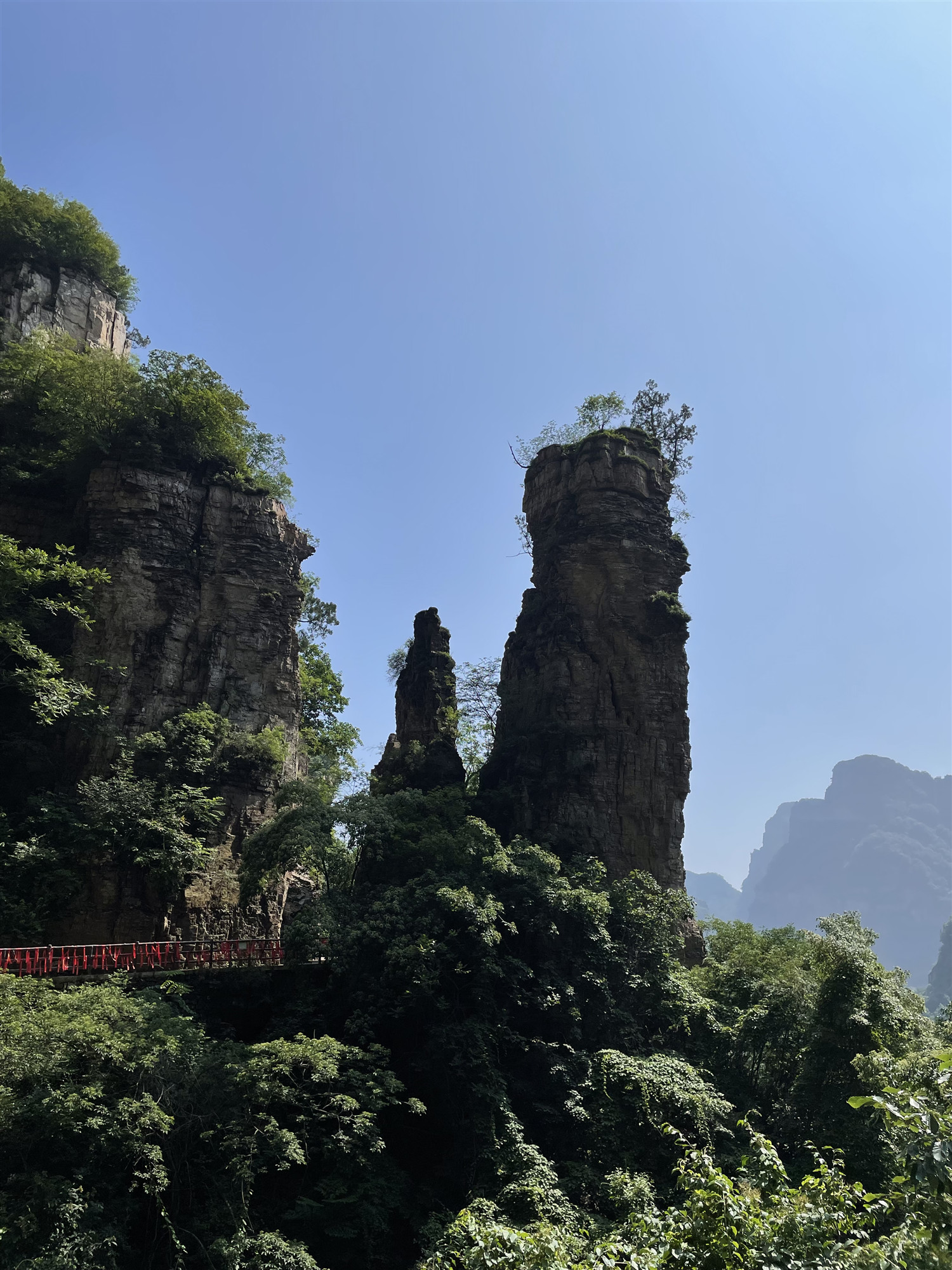 Beautiful petals in the depths of Yanshan Mountain - Xinglong Mountain ...