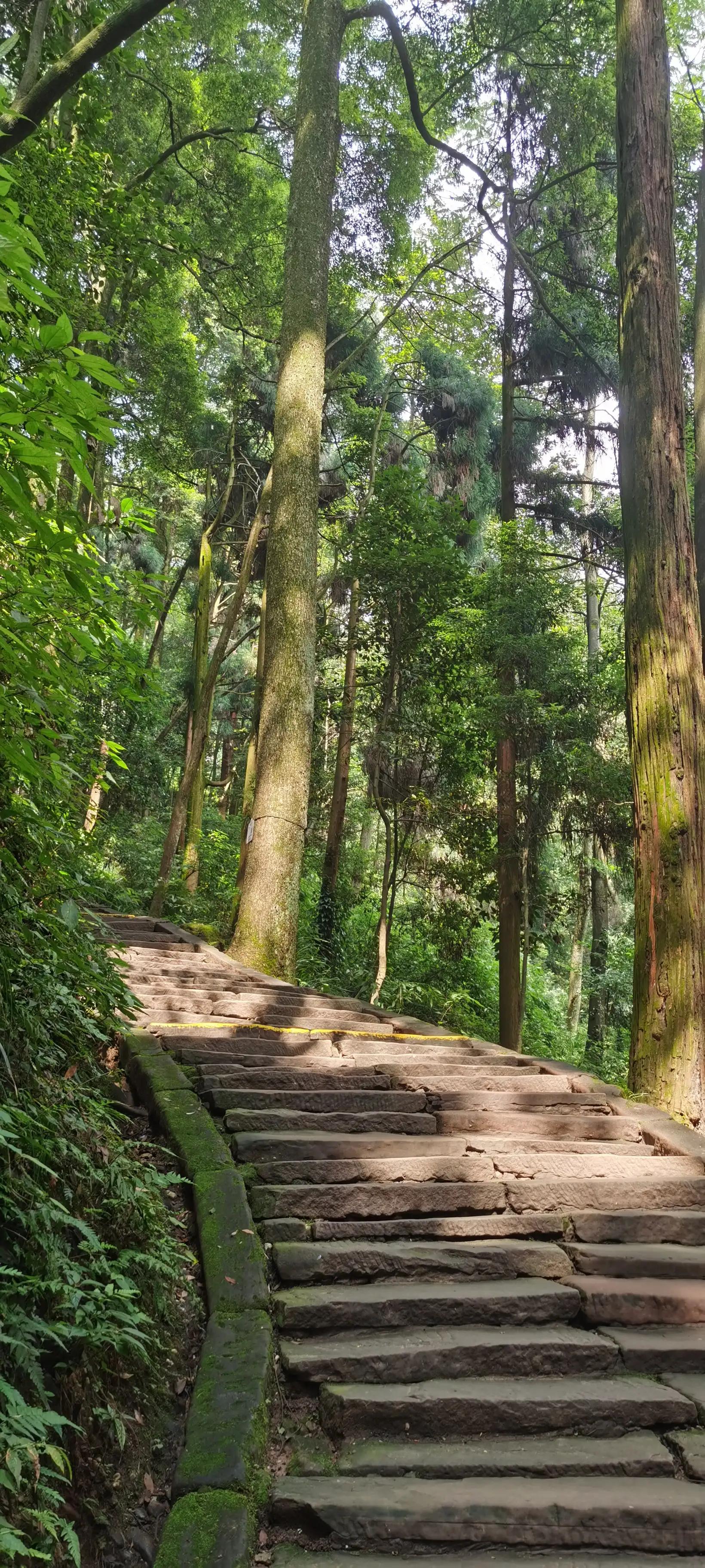 Slowly tour the Tianshi Cave of Mount Qingcheng - iNEWS