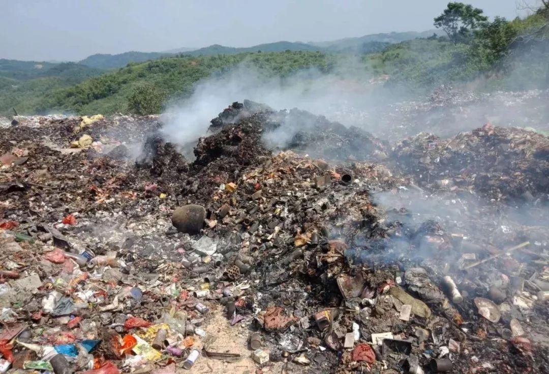 Cow gastric juice can decompose plastic, and is safe and harmless?White ...