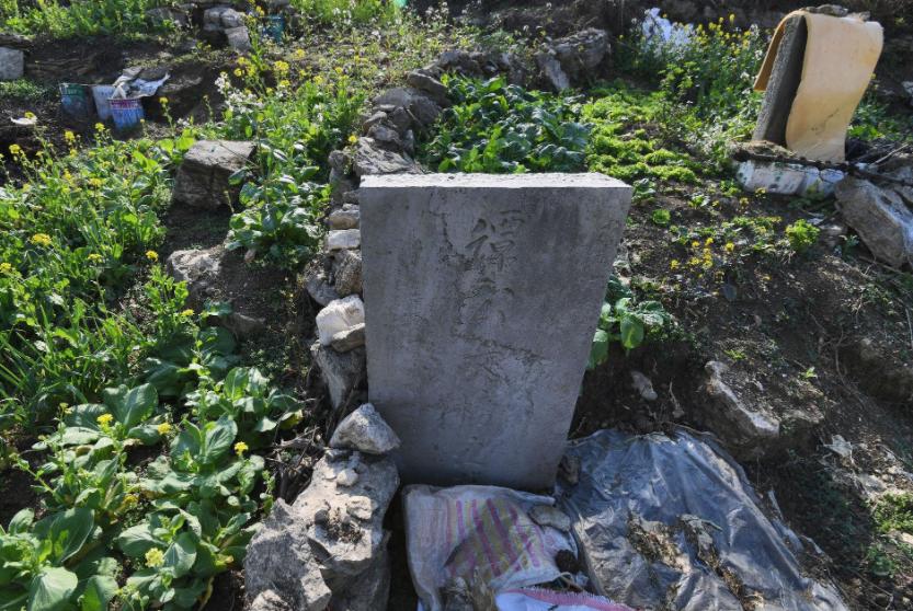 Can Qin Shubao beat Yuchigong? - iNEWS