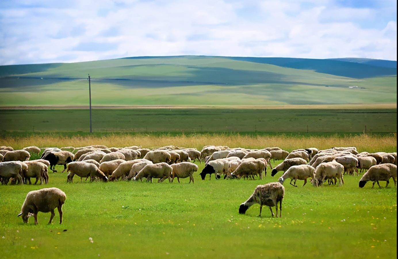 Hulunbuir Grassland-the most beautiful grassland in China - iNEWS