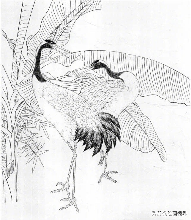 Crane's outline drawing method: Crane is difficult to draw?9 line ...