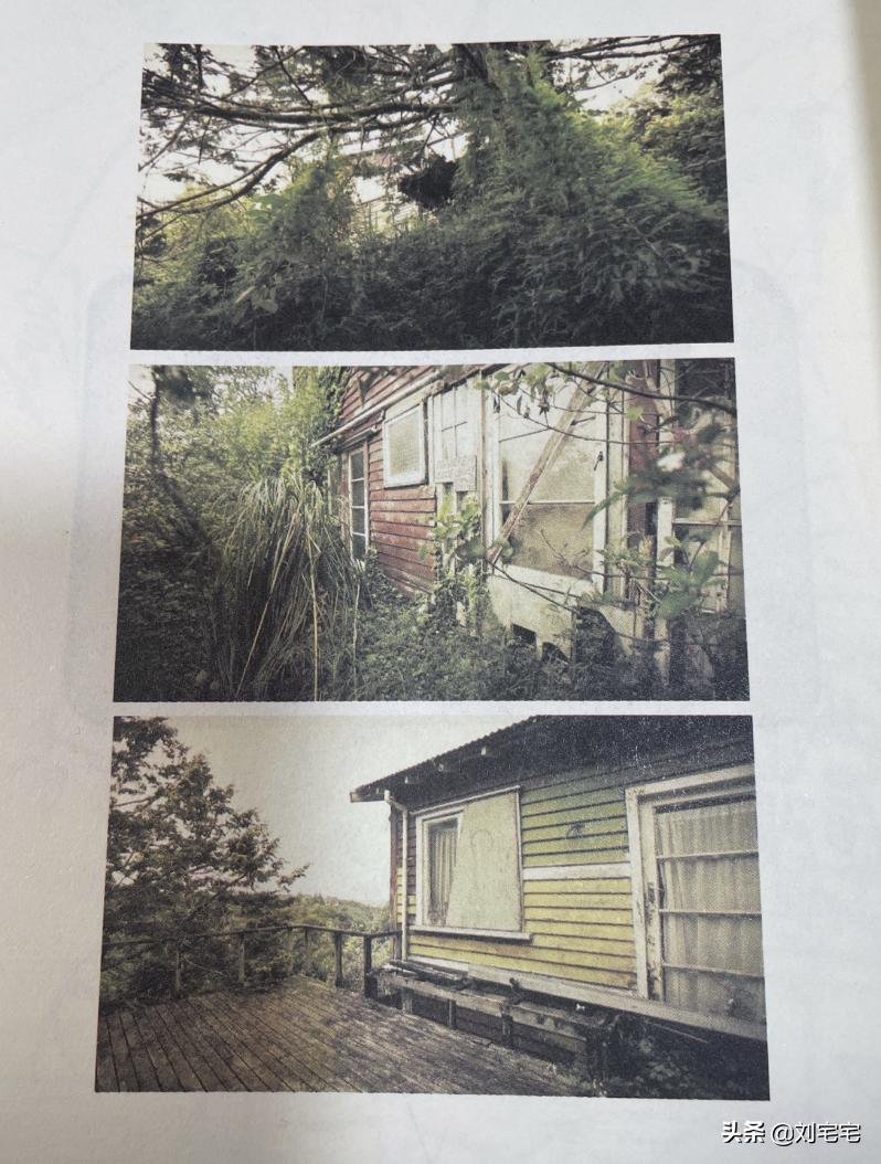 "Contemporary No. 1 Poet" Gu Cheng: 8 years before he killed his wife ...