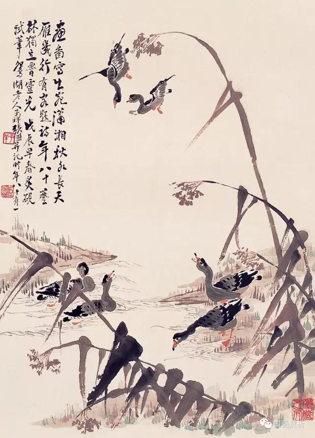 The Poetic Bloom of Zhang Xiong's Flower-and-Bird Painting Art - iNEWS