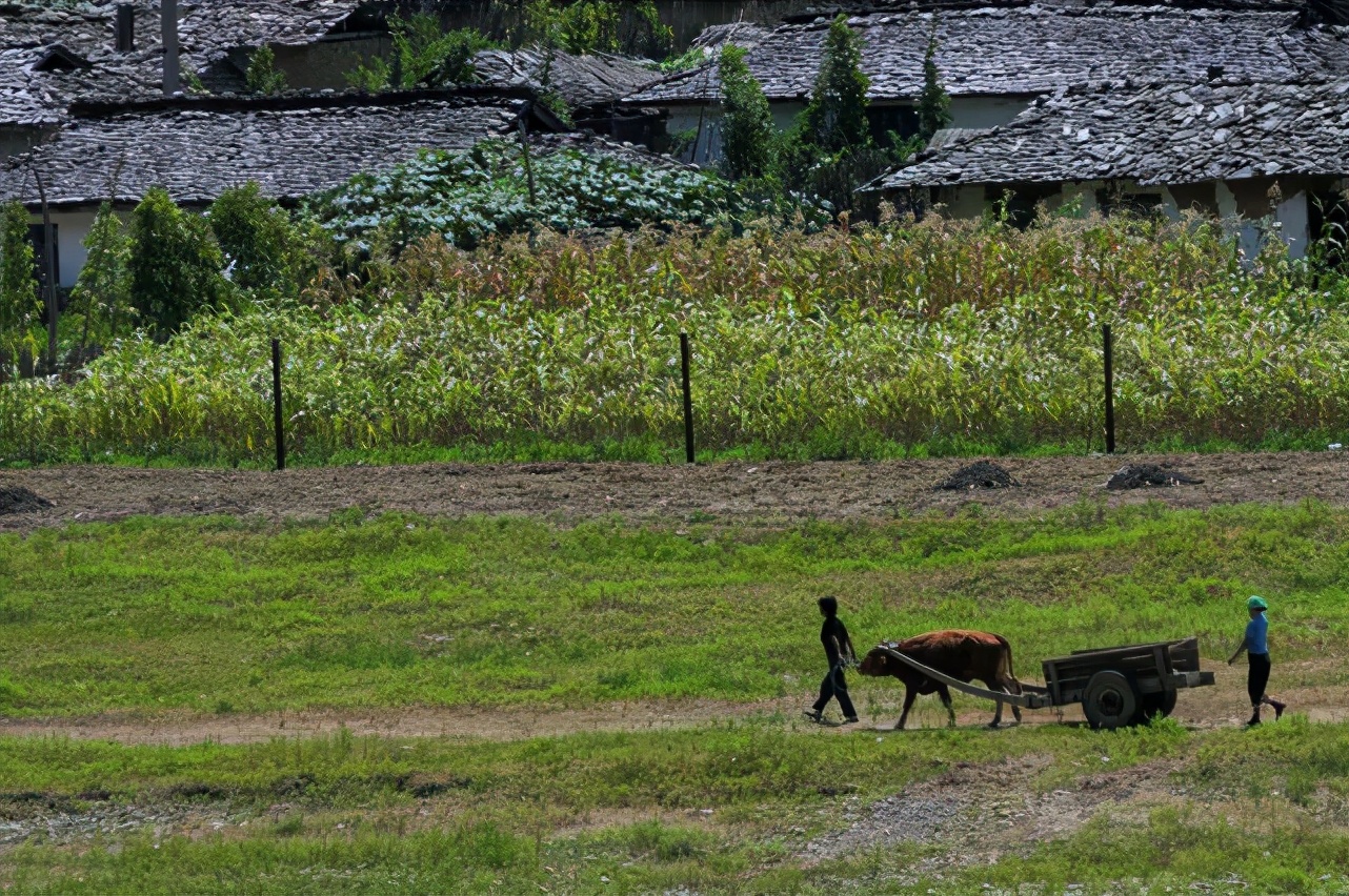 Impression of North Korea, what kind of life do North Korean rural ...
