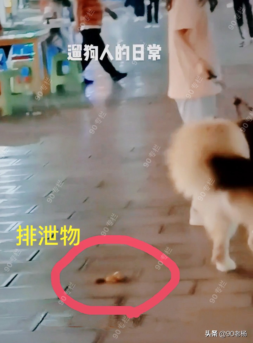 Enshi: Walking the dog for excretion?Women walking around the street ...