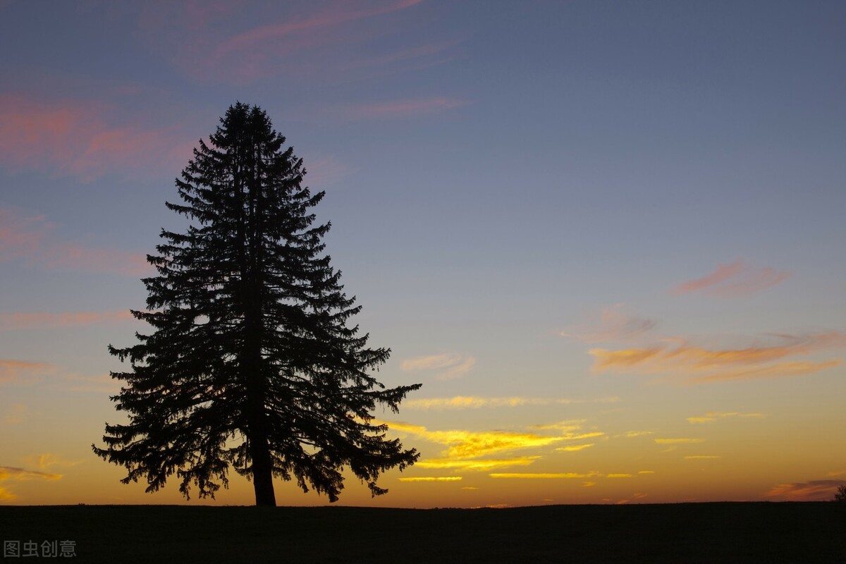 Muyun turns into the Sanskrit Bell, the five-character archaic poem ...