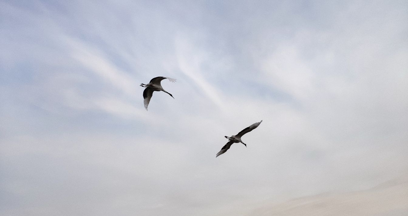 The Old Changle in the Five Dynasties-Feng Dao - iNEWS