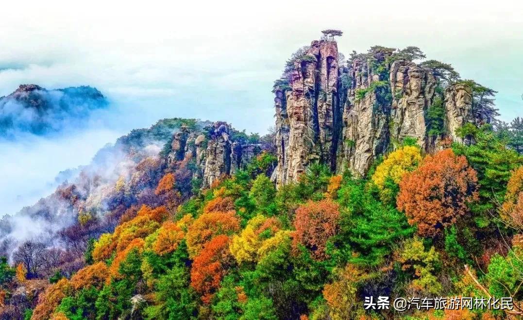 Linyi's late autumn "color map" is coming!Take you to enjoy the ...