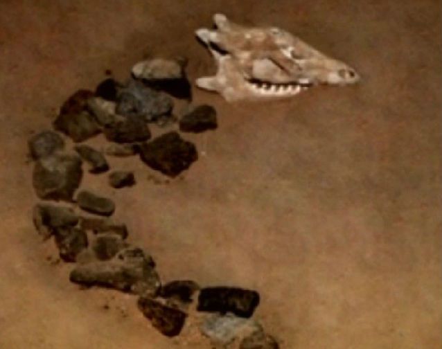 "The carp jumps over the dragon gate", the myth that everyone thinks ...