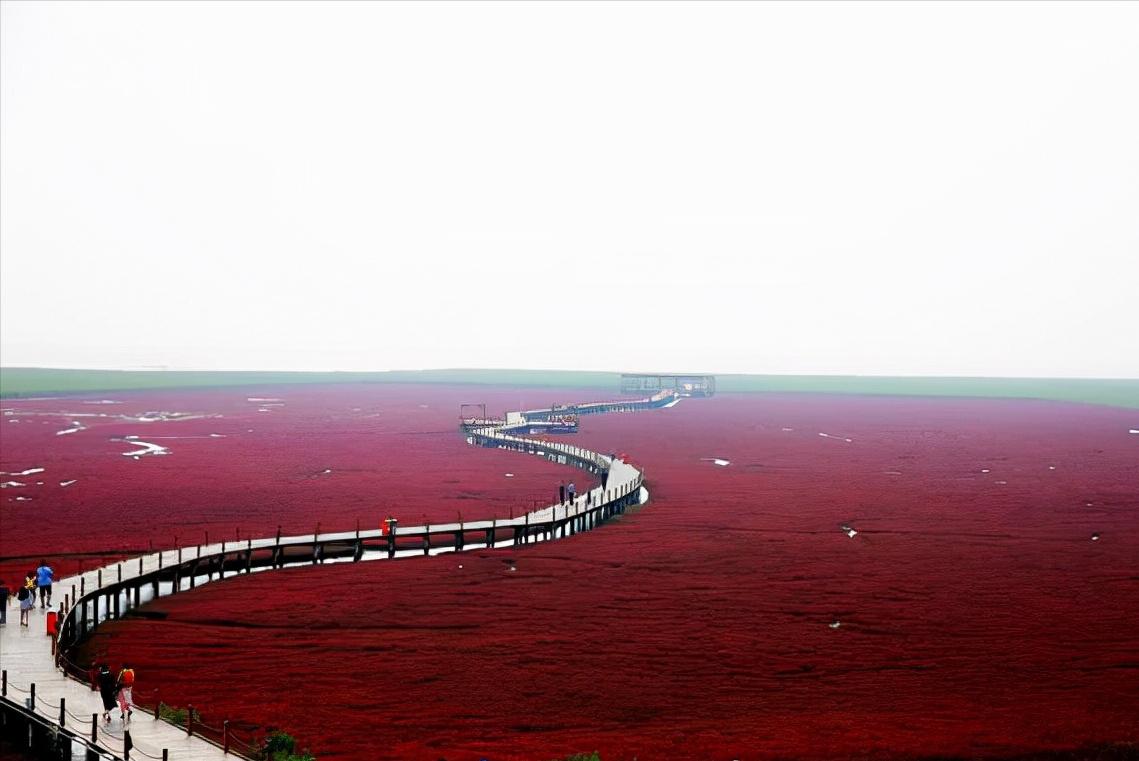 Panjin is clearly one of the five cities in western Liaoning. Why do ...