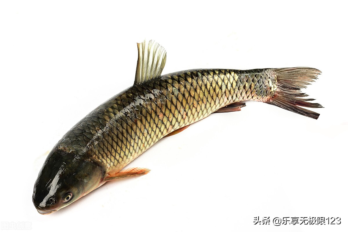 Famous dishes in Hubei: if you eat fish but you don't see fish, the ...