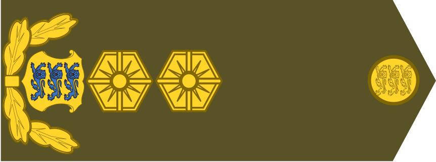 Military rank identification of each country: Estonia - iNEWS