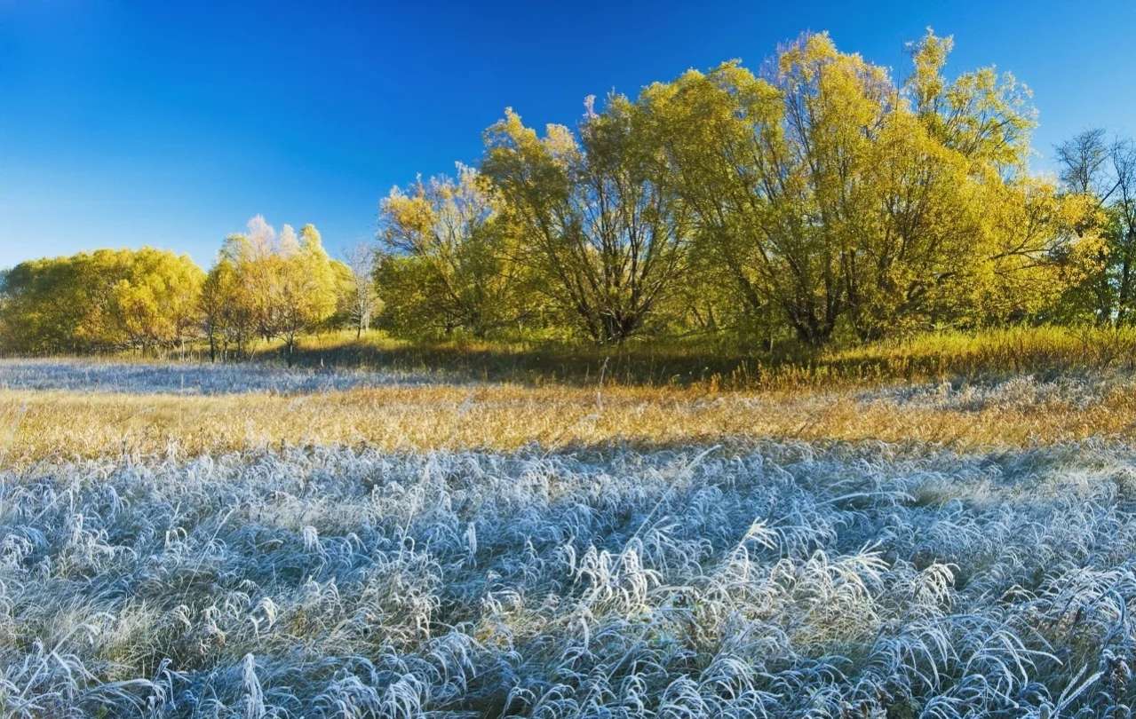 Bai Juyi's "flowers are not flowers, fogs are not fog" poems are ...