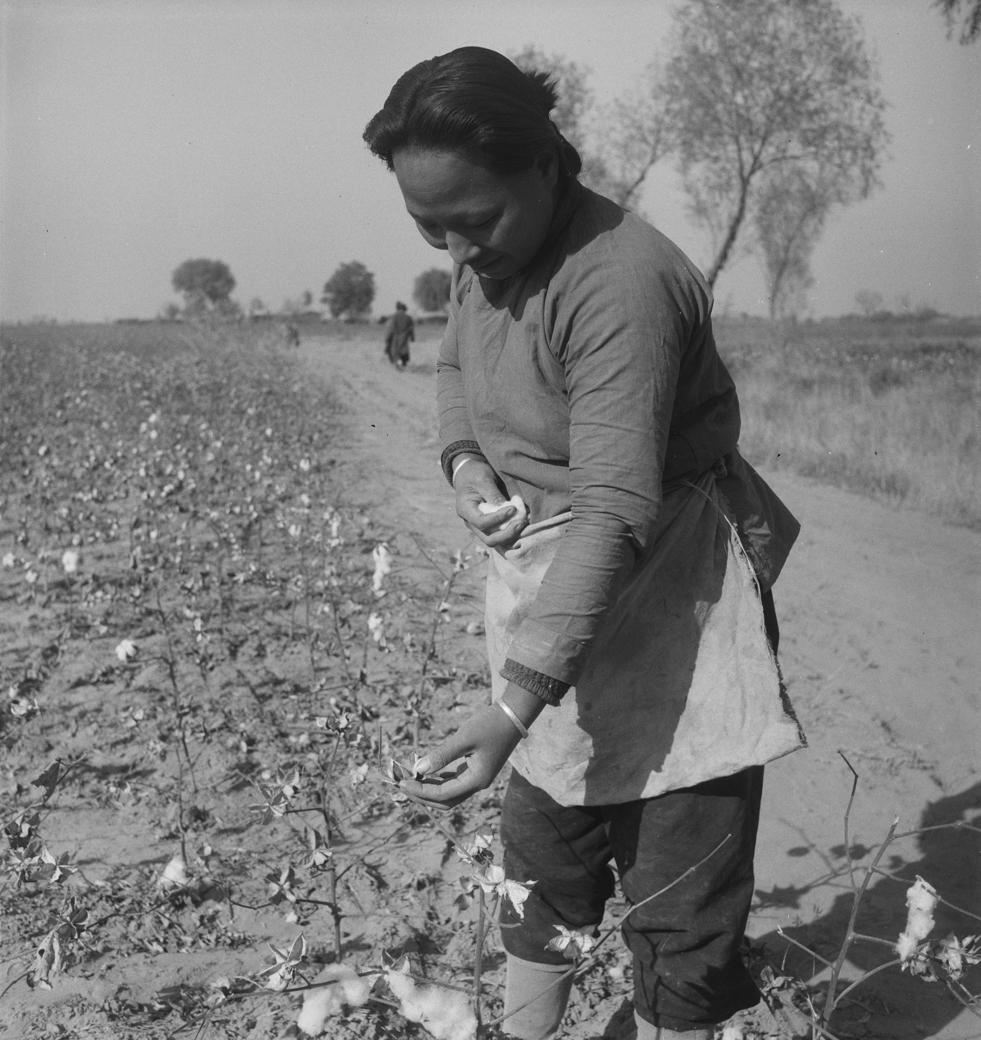 Hedda Morrison: A collection of works taken in China at the beginning ...