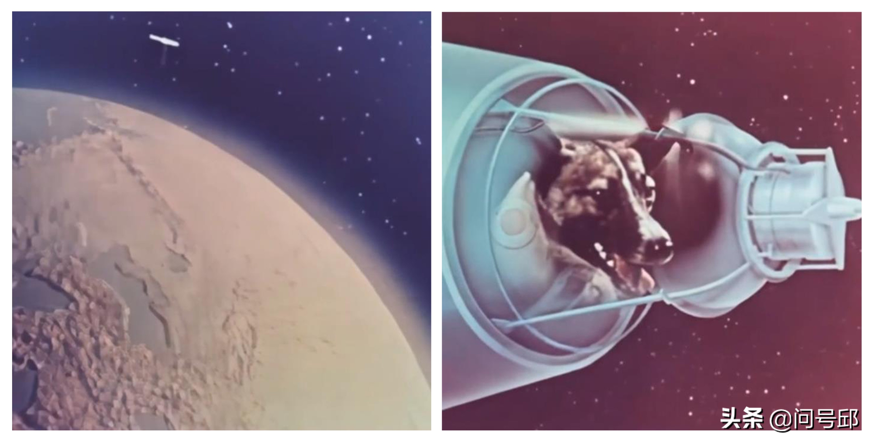 Animals have become the "touchstone" for humans to pursue technological ...