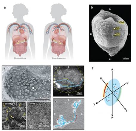 A "mirror person" appeared in Wuhan. No doctor dared to treat the ...