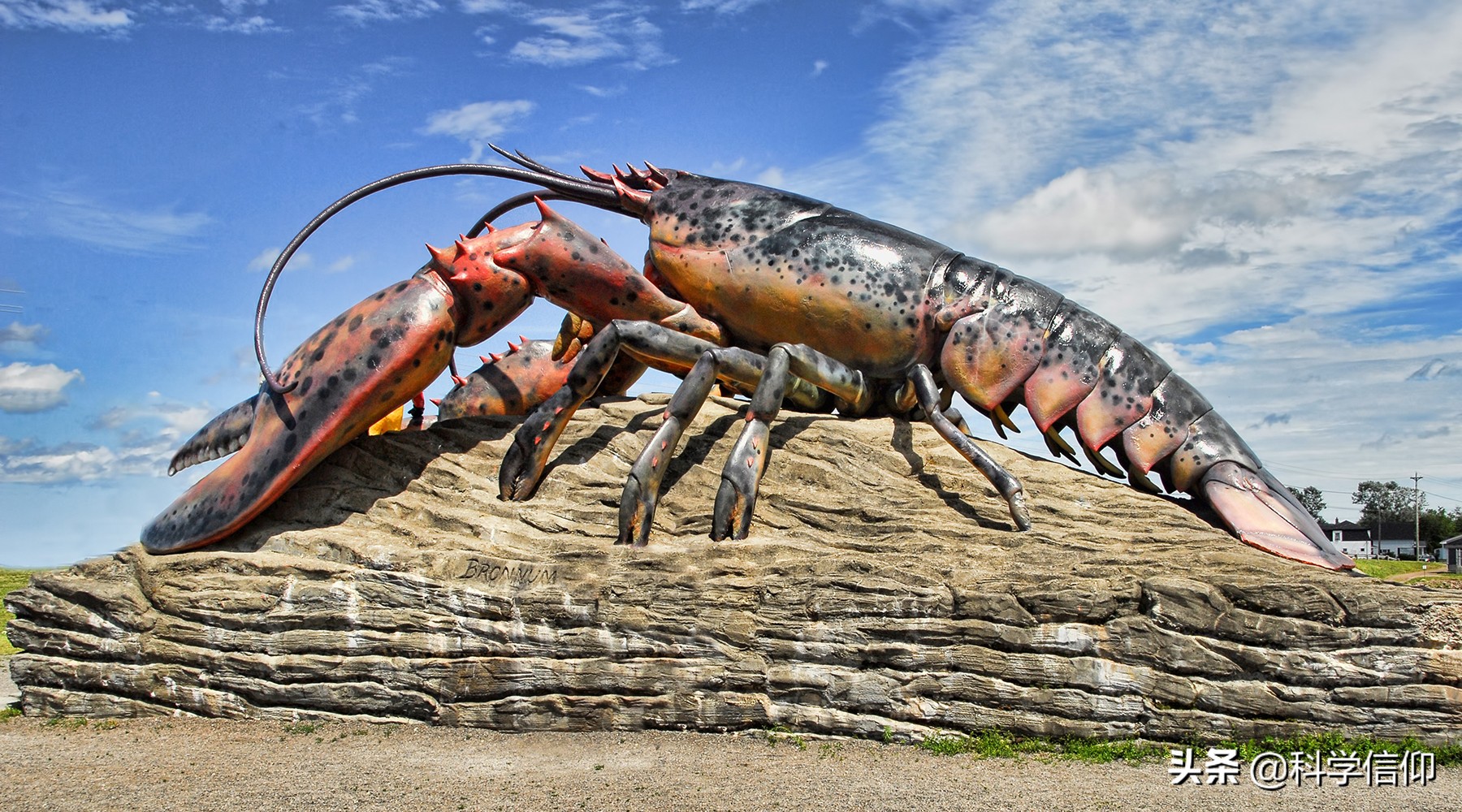 Lobsters live forever and can grow indefinitely. Why not raise a giant ...
