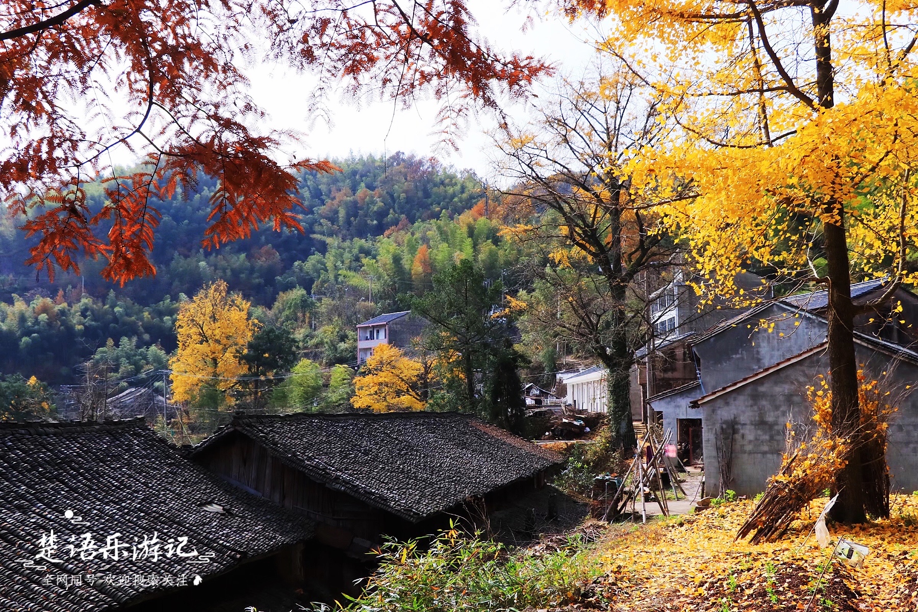 Too shocking!A thousand-year-old forgotten village in the depths of ...