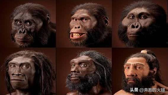 The evolution of body hair: Women feel that these two parts of hair are ...