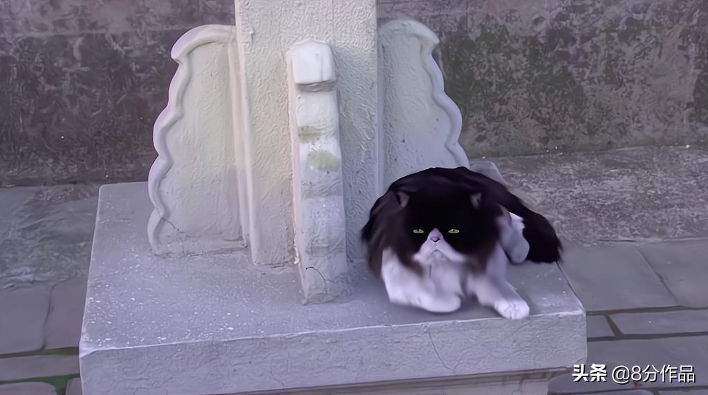 "Zhen Huan Biography": Why is Zhen Huan afraid of cats?The original is ...