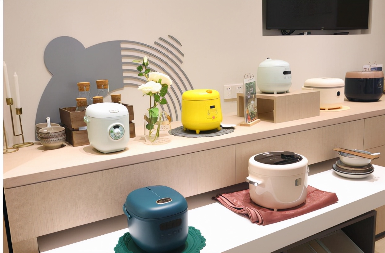 How does Bear Electric, known as the "national creative small household ...