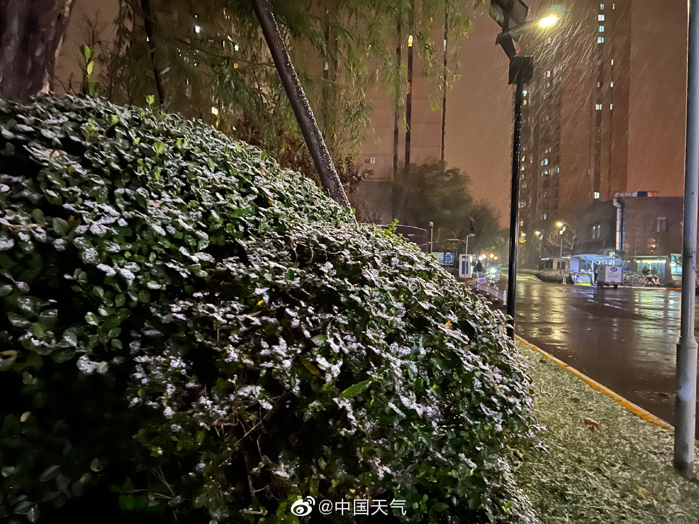 11.6 Picture: Di Lieba, Deng Lun, Liu Yifei, Yang Zi, Zhou Shen, Tong ...