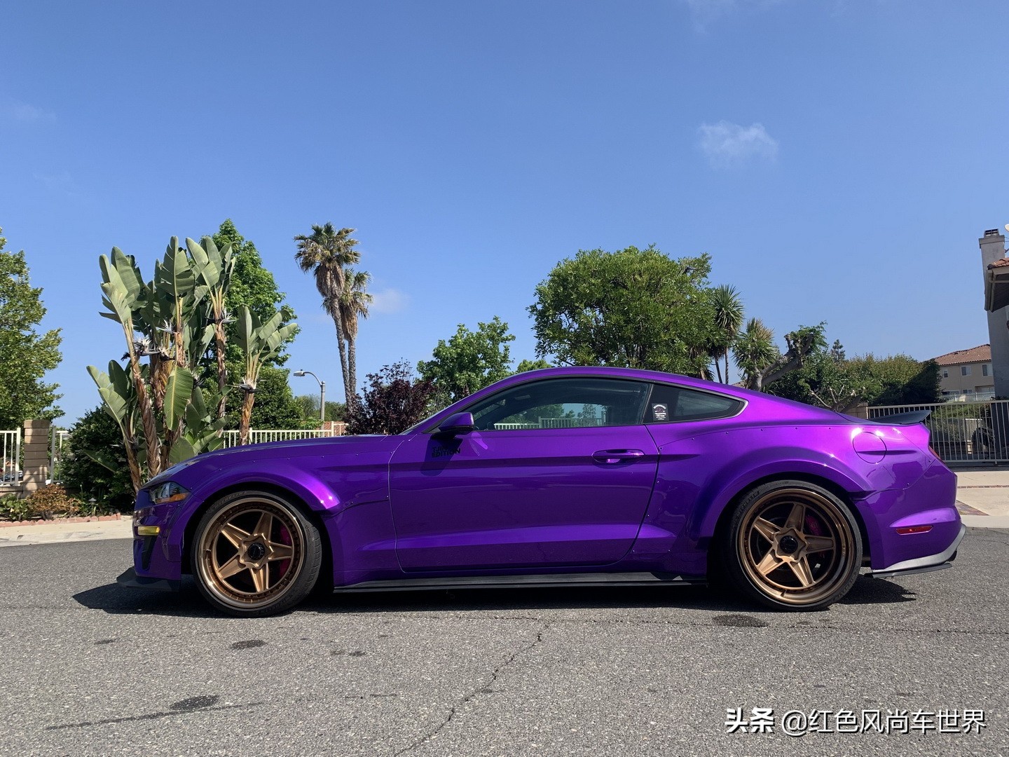 Unique wide-body Ford Mustang purple Tjin version modified works from ...
