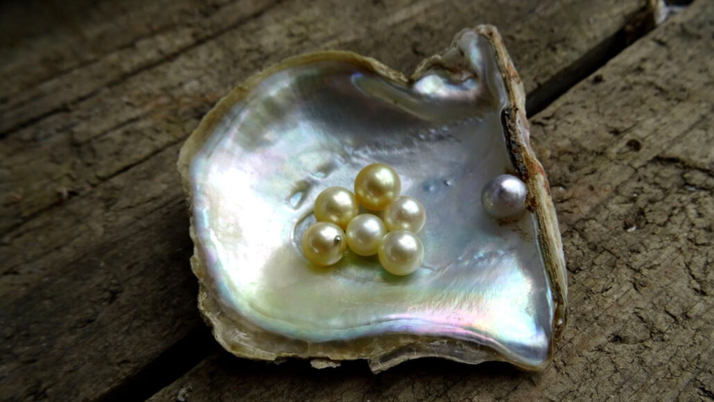 Why are natural pearls so round?The secret to the incredible "symmetry ...