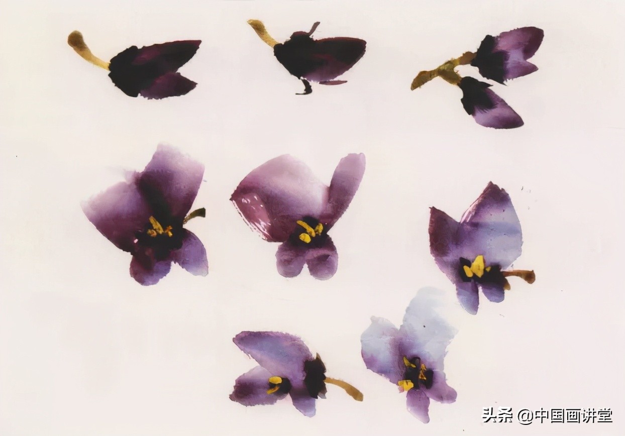 Super freehand drawing of wisteria flowers - iNEWS