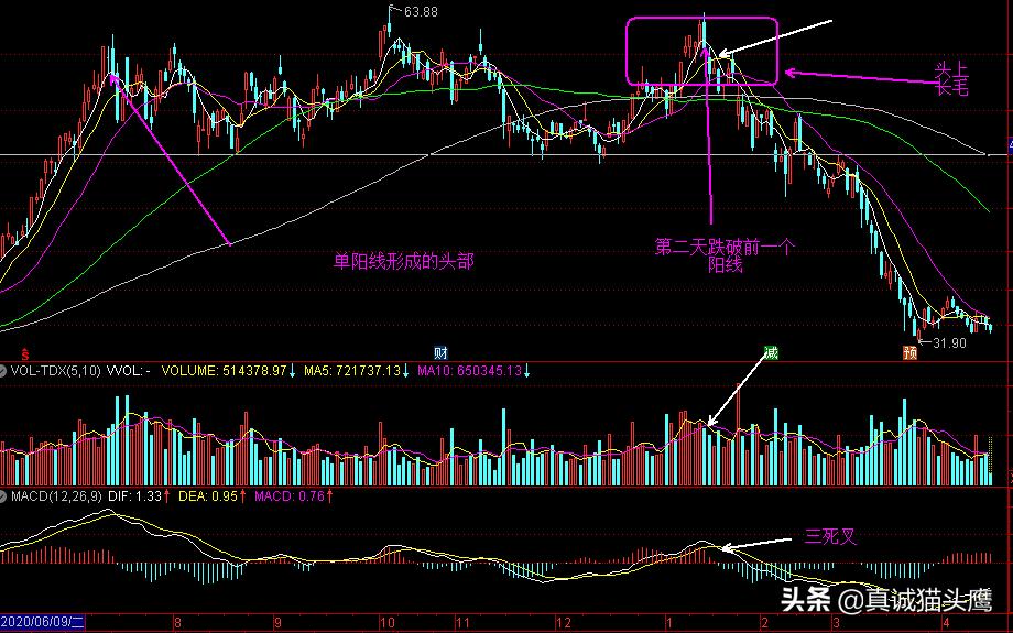 The head formed by a single yang line - iNEWS