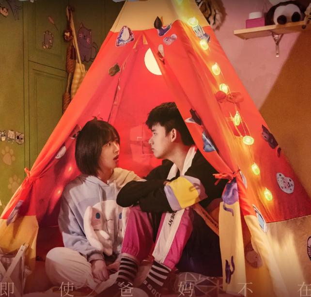 "What to do if the second brother is here" reorganization of the family ...