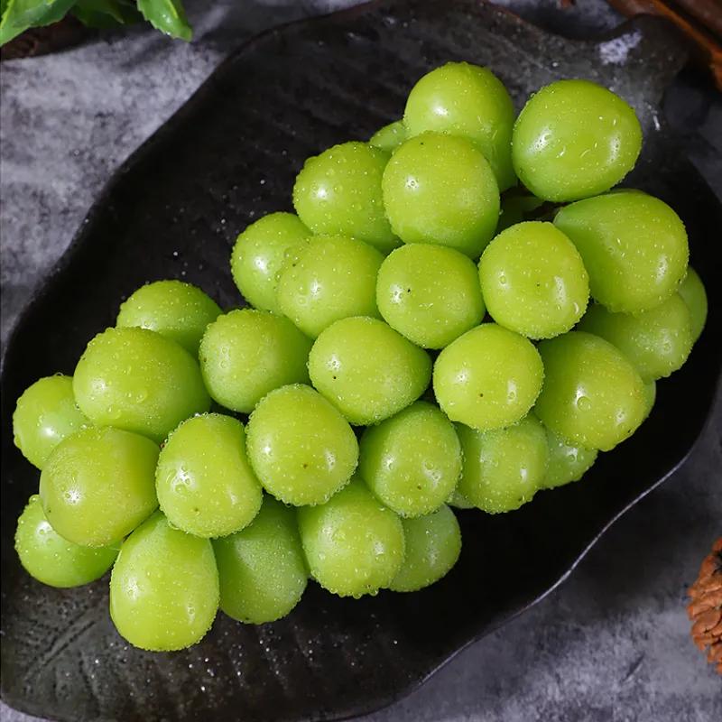Sunshine rose grapes, the rose is fragrant, sweet but not greasy, you ...