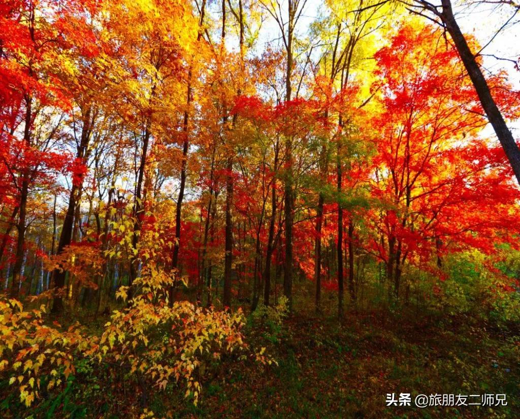 Departing from Guangzhou-1 day tour from Fossil Gate National Forest ...