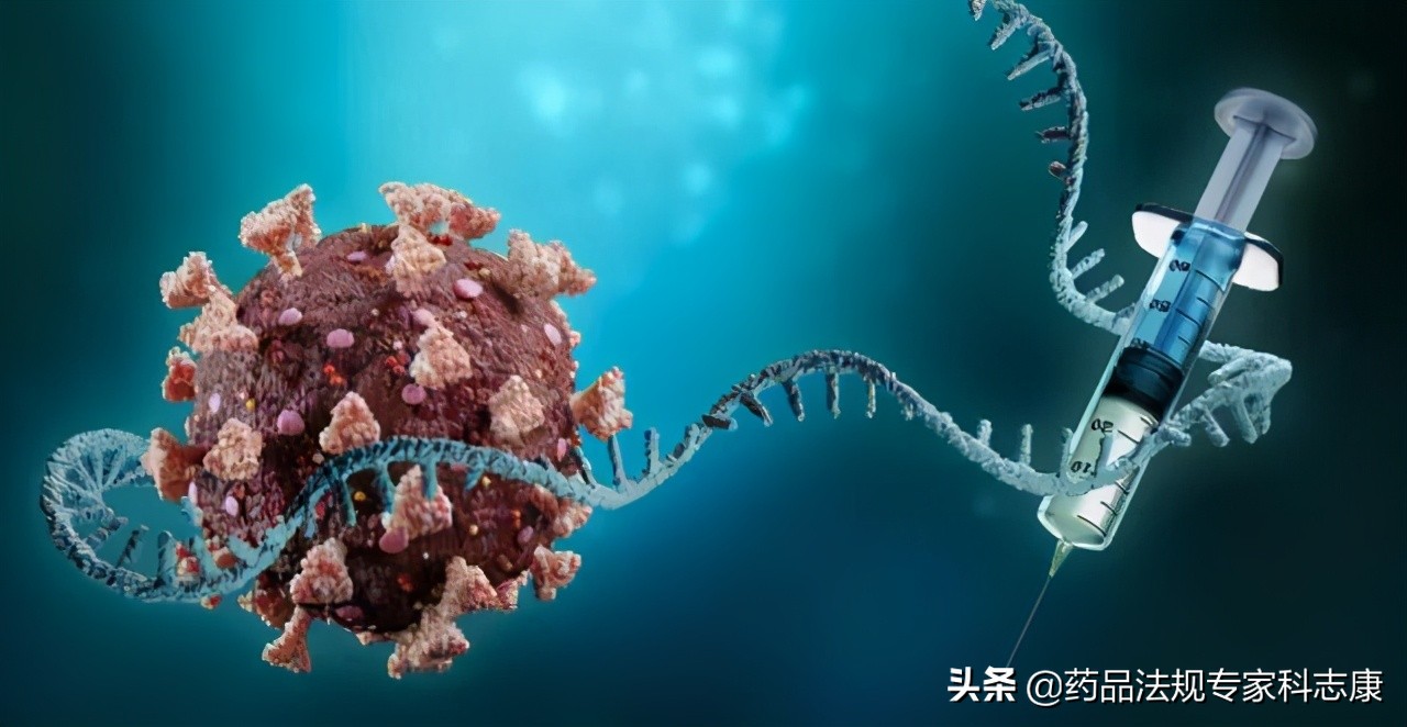 mRNA疫苗BNT162b2非臨床申報資料總結分析 - 資訊咖