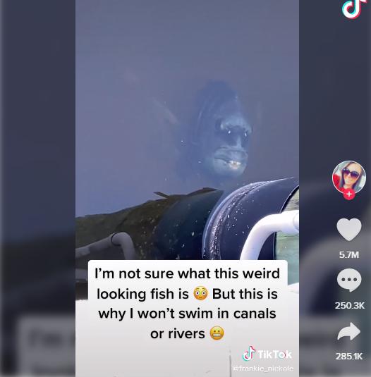 The strange fish in the river's mouth is full of human teeth. - iNEWS