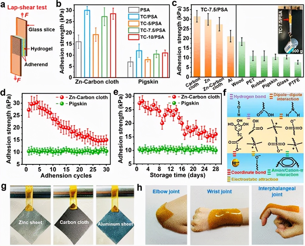 Low temperature adaptation/flexible zinc ion hybrid capacitor ...