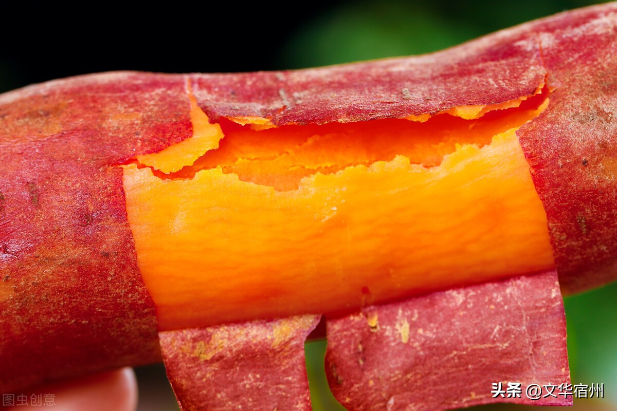 Ten sweet potato poems, nourish our brains and feel the taste of autumn ...