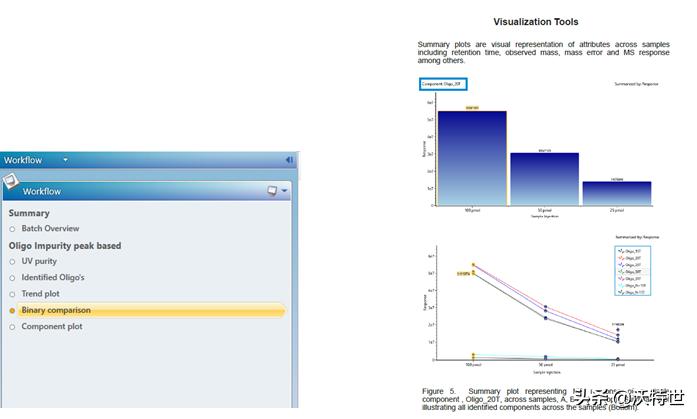 Oligonucleotide analysis—from advanced characterization to routine ...