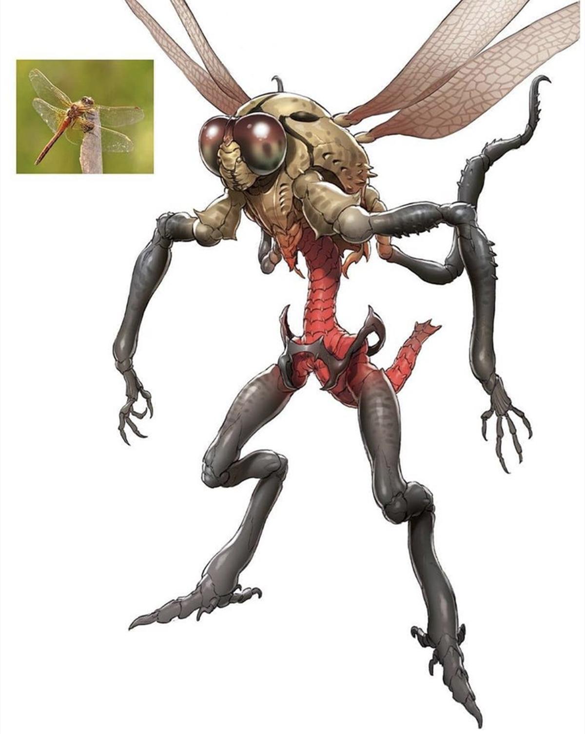 If insects can also evolve into the appearance of humans, without ...