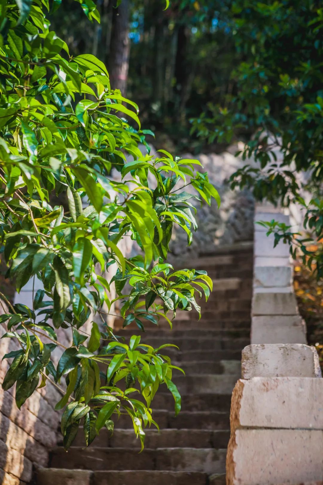 About to explode!Jinhua's "Little Great Wall" has become a new online ...