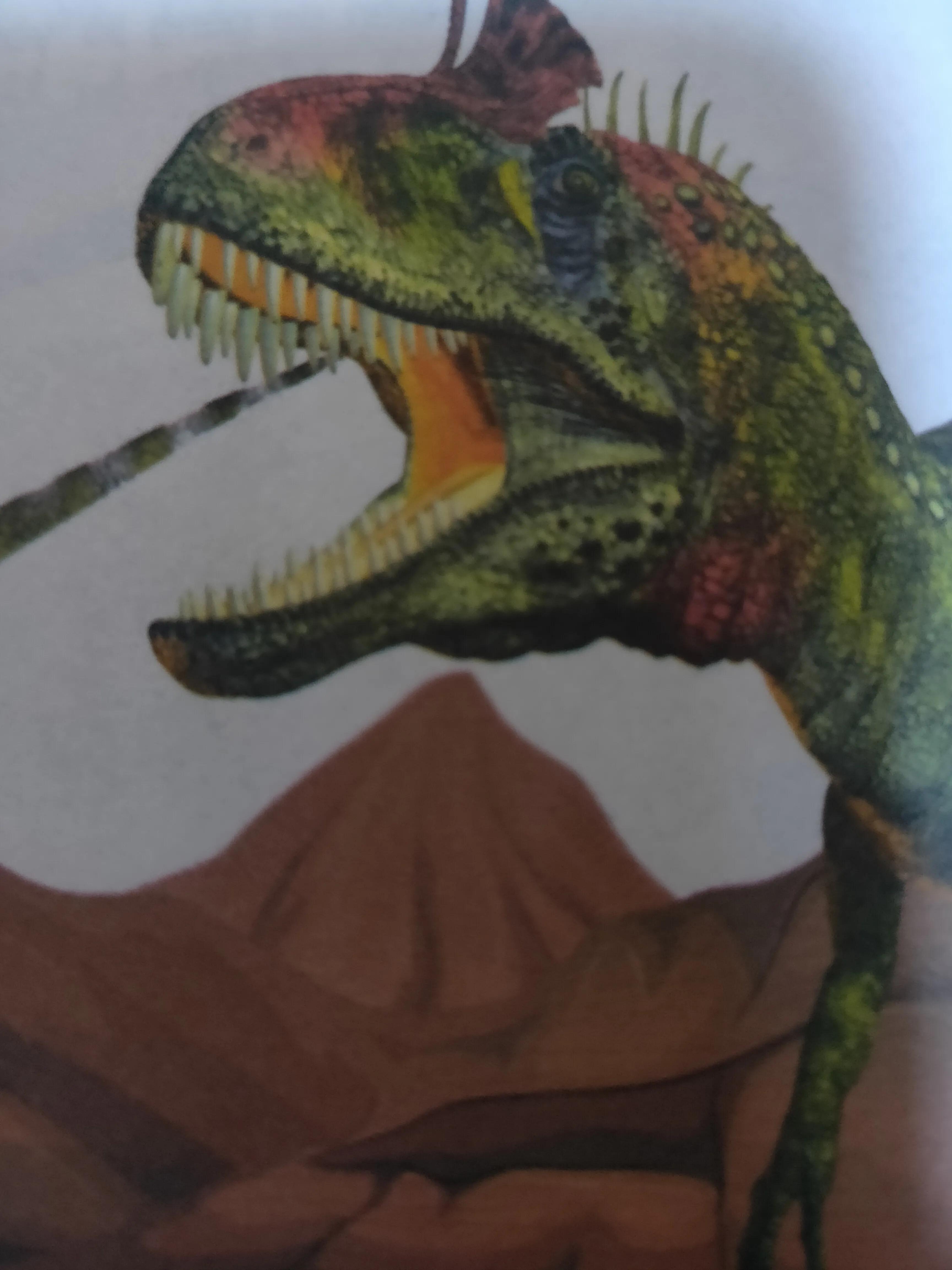 Why did the giant Elvis dragon go extinct, revealing the truth about ...