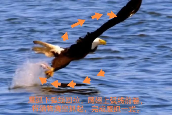 Yunshengyuan thinking and enlightenment: the legends and stunts of ...