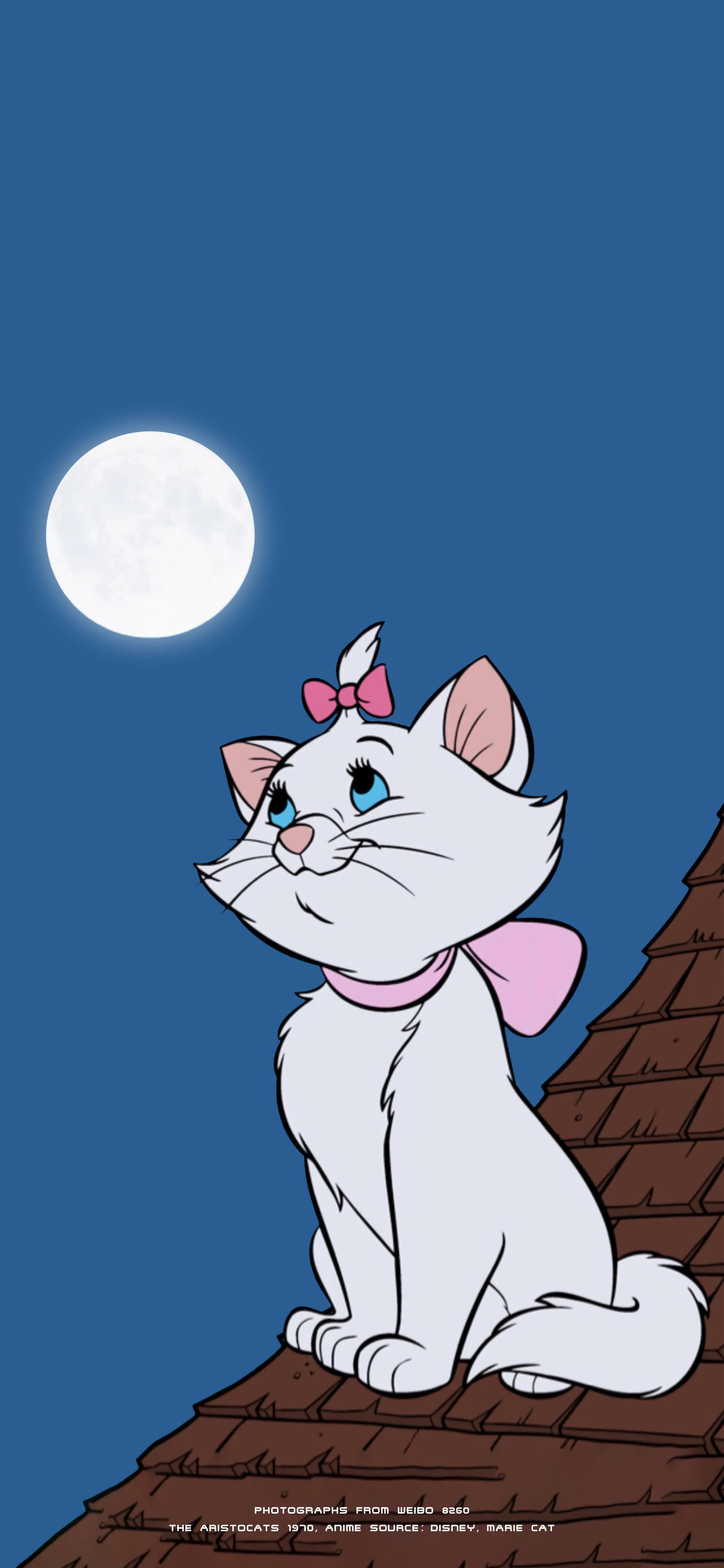 1397 original picture Mary cat series mobile wallpaper - iMedia