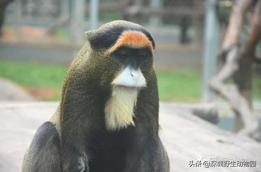 I was born an old man, never young - iNEWS