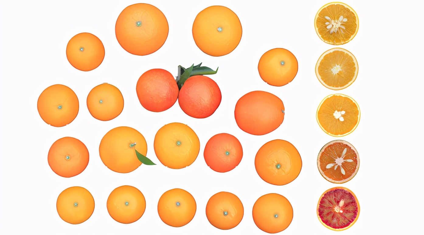 Discovered somatic mutations that affect the sourness of sweet orange ...