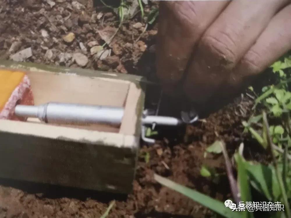 Landmine and its fuze - iNEWS