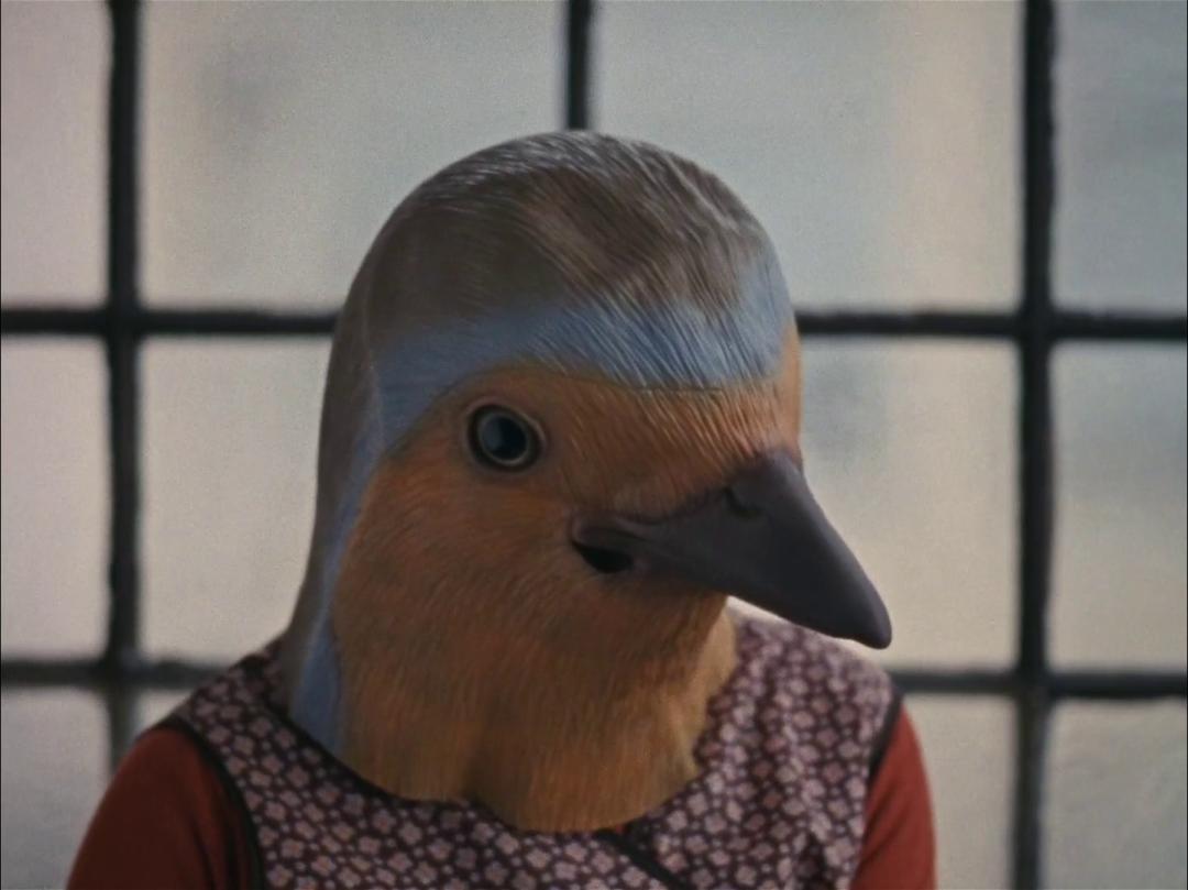 Analysis of the screen movement of "The Metamorphosis of Birds" and the ...